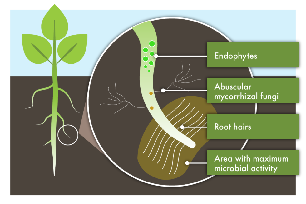 Biostart Australia | Bioguide 2