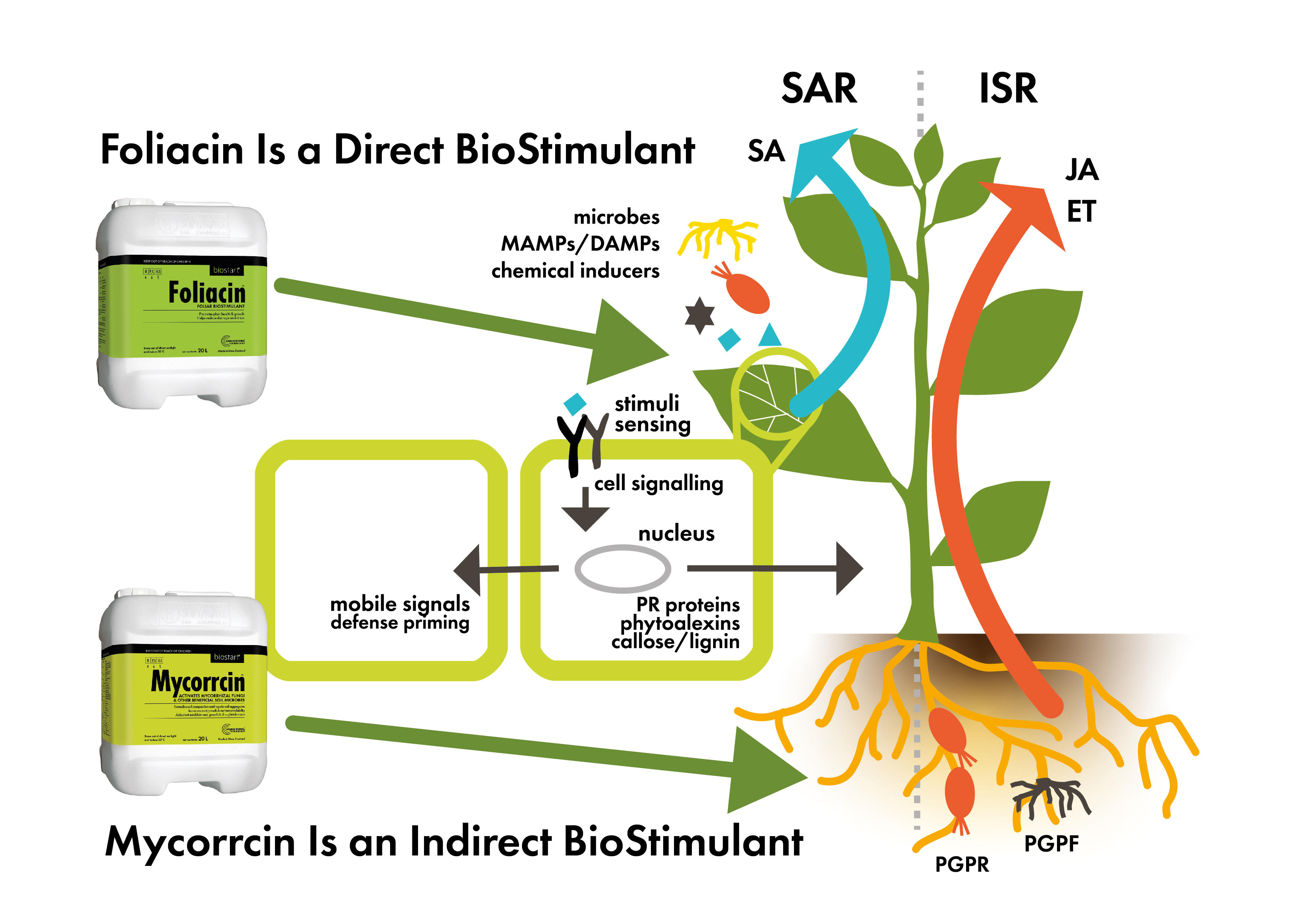 Biostart Australia | Bioguide 8